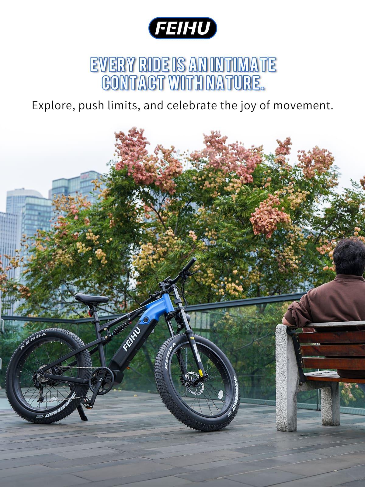 Feihu 750W Fat Tire eBike | Balance Work Commute and Weekend Trails ...