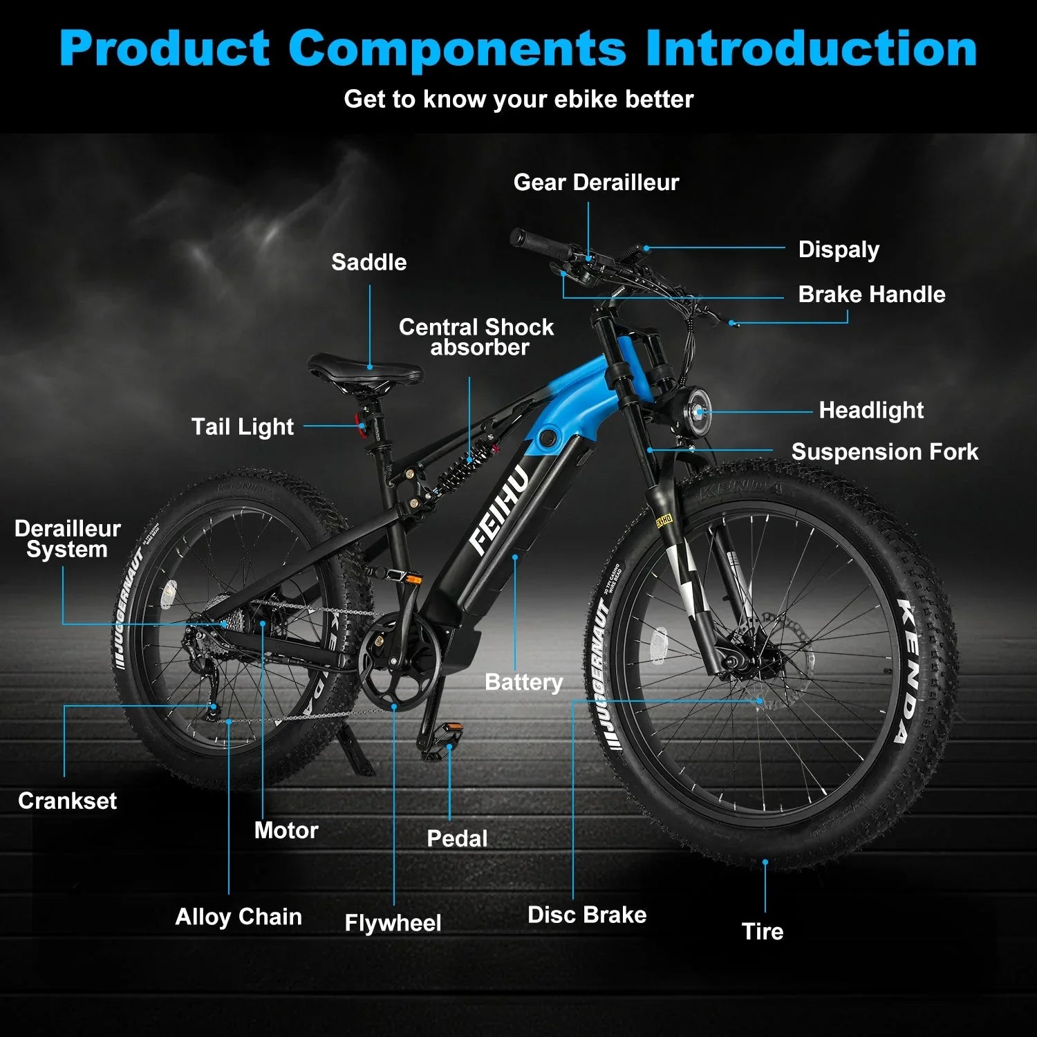 Unleash Your Off-Road Adventures with the Feihu 750W Fat Tire eMTB ...